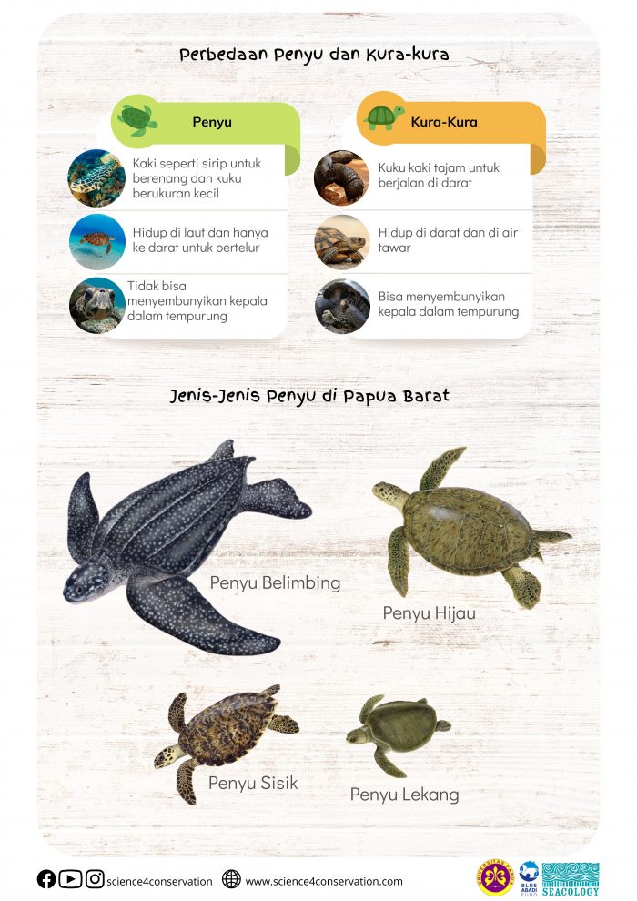 Infografis - Science for Conservation