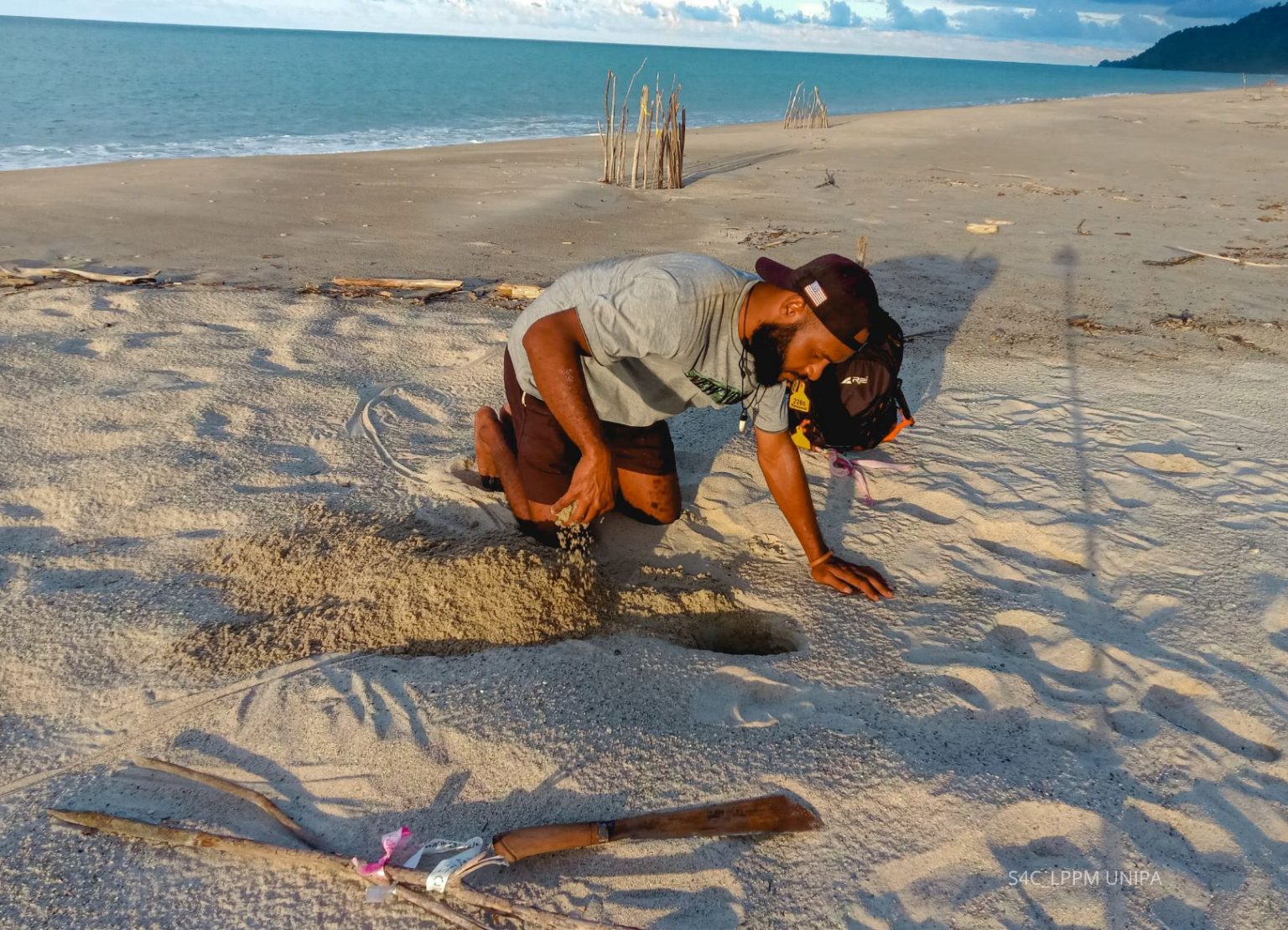 Cerita dari lapang: Melindungi Sarang Penyu sesuai Karakter Pantai ...